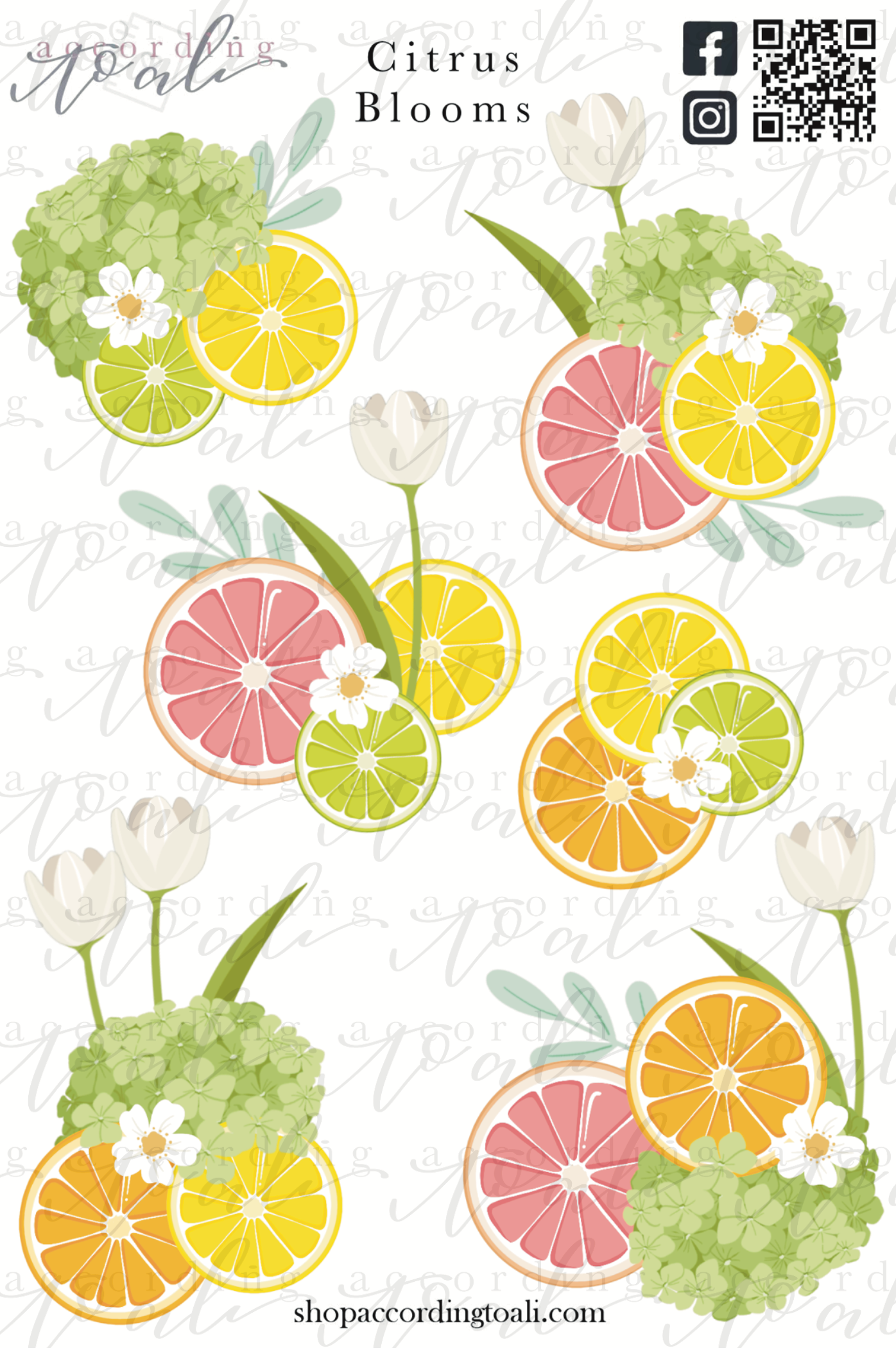 Citrus Blooms Sticker Sheet – according to ali