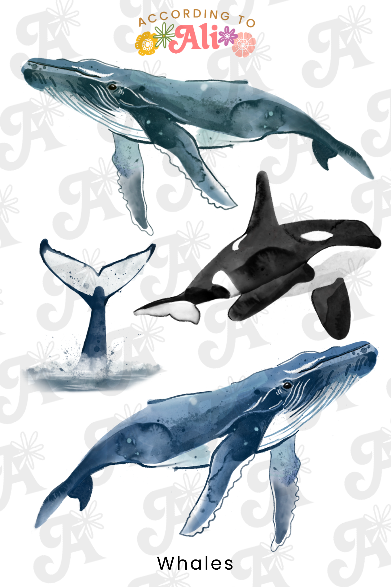 Whales Sticker Sheet – according to ali